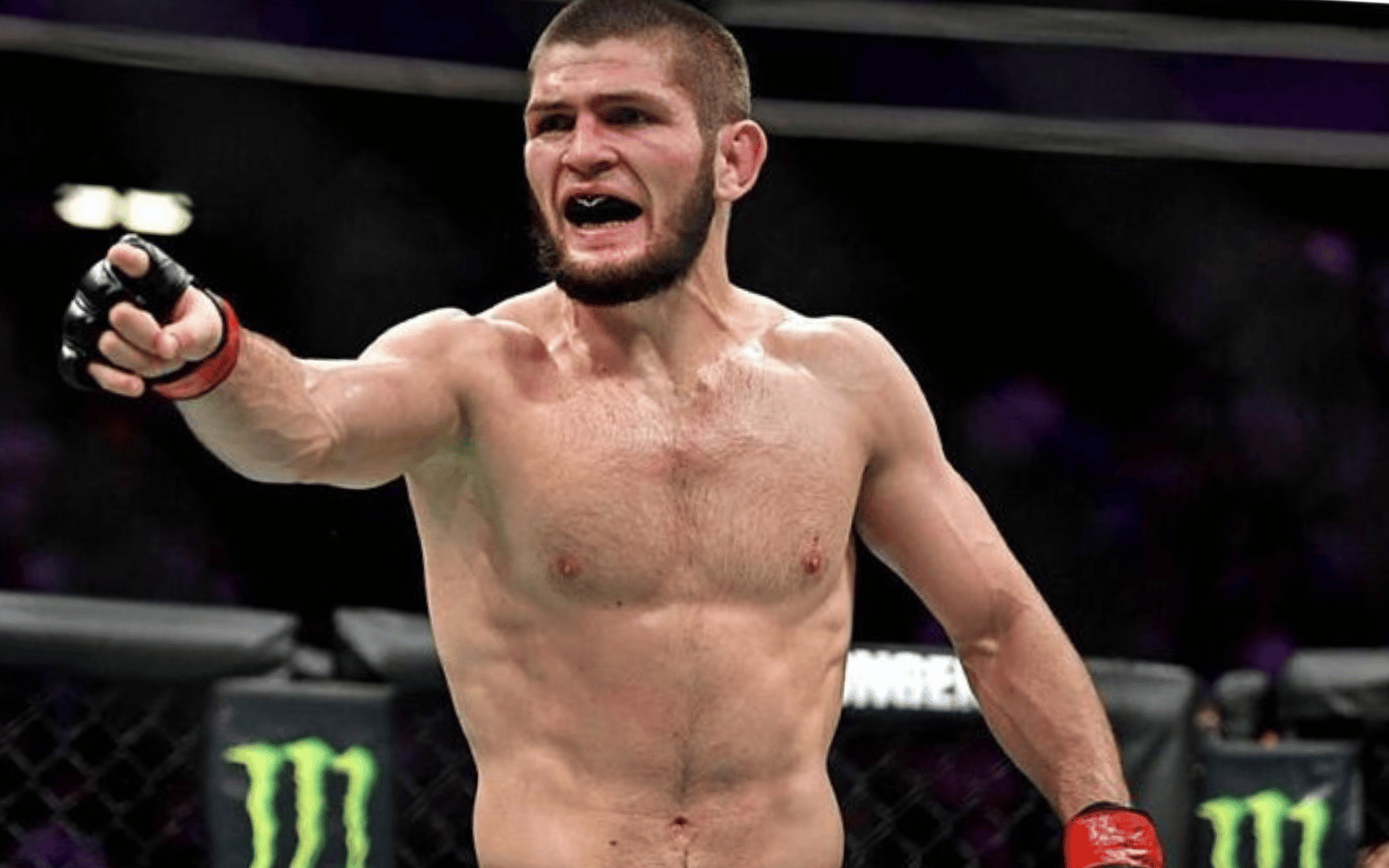 The 13+ Best Russian UFC Fighters From Past And Present