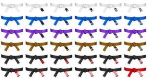 The BJJ Belt System 2023: How Jiu Jitsu Ranking Works